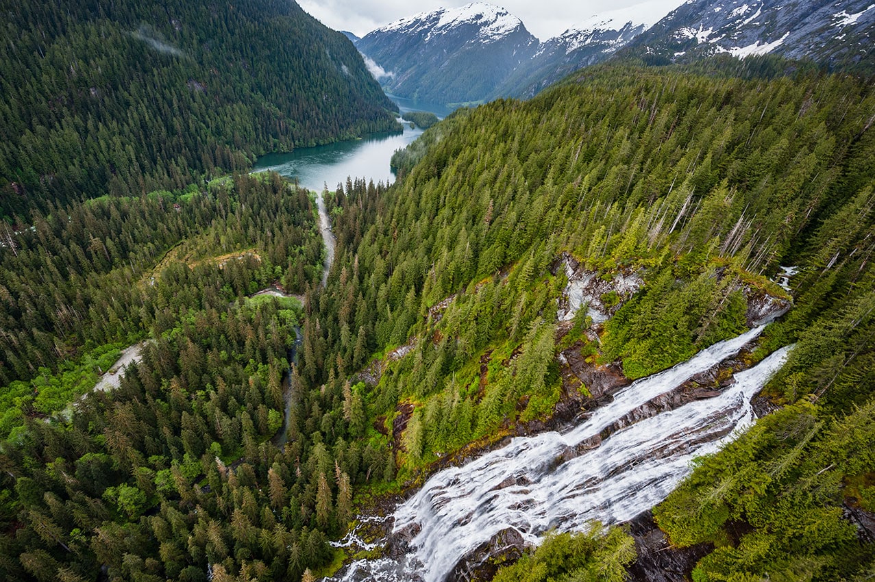 Great Bear Rainforest Conservation | BC